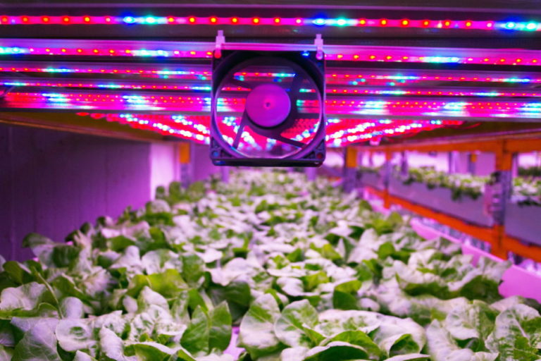Vertical Farming Technology | What Equipment & Systems for You?