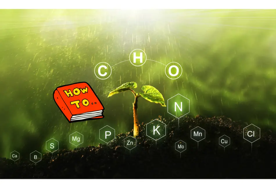 DIY Hydroponic Fertilizer: A Guide to Mixing Your Own Nutrients ...