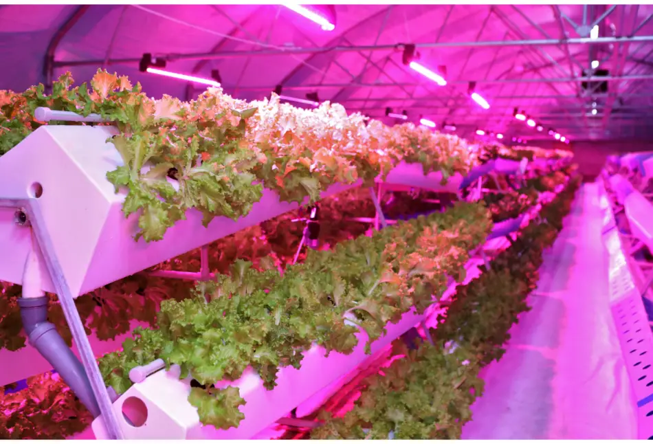 How an Aeroponic Tower Works | Vertical Farming Planet